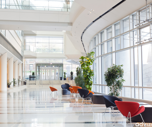 advizeo annonce le lancement de la solution cockpit