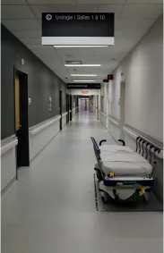 advizeo : expert de l'Energy Management