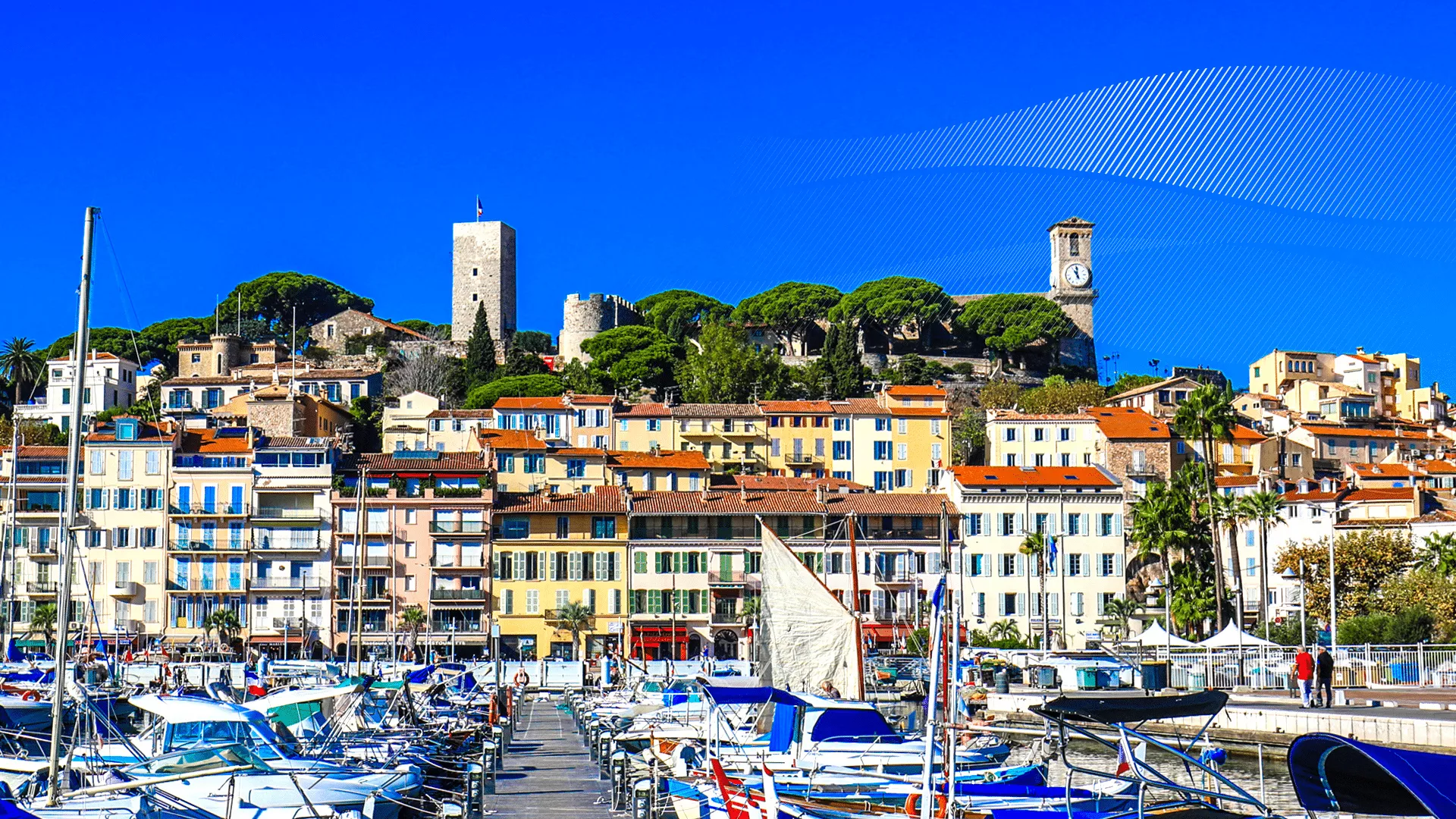 advizeo : expert de l'Energy Management